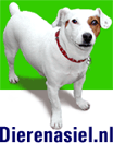 DIERENASIEL.NL